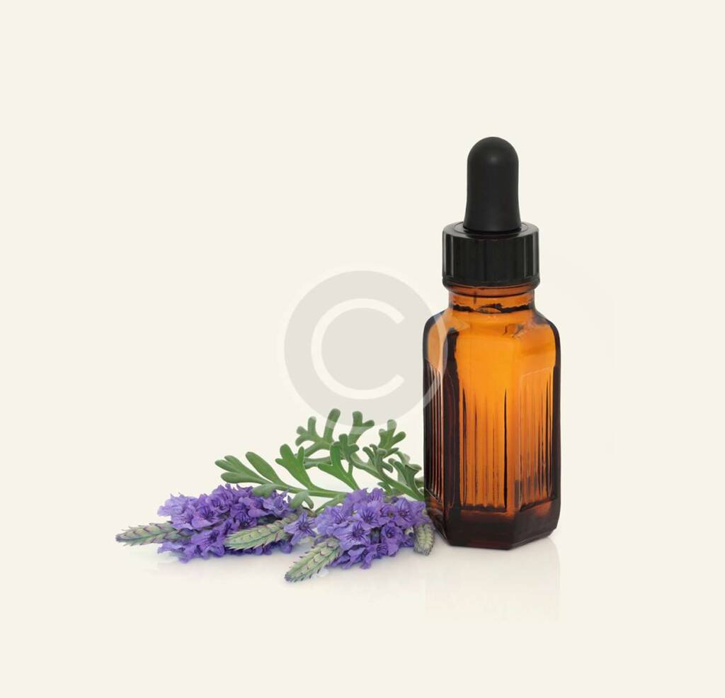 Natural Body Massage Leech Oil - Thai Royale Spa Tomas Morato